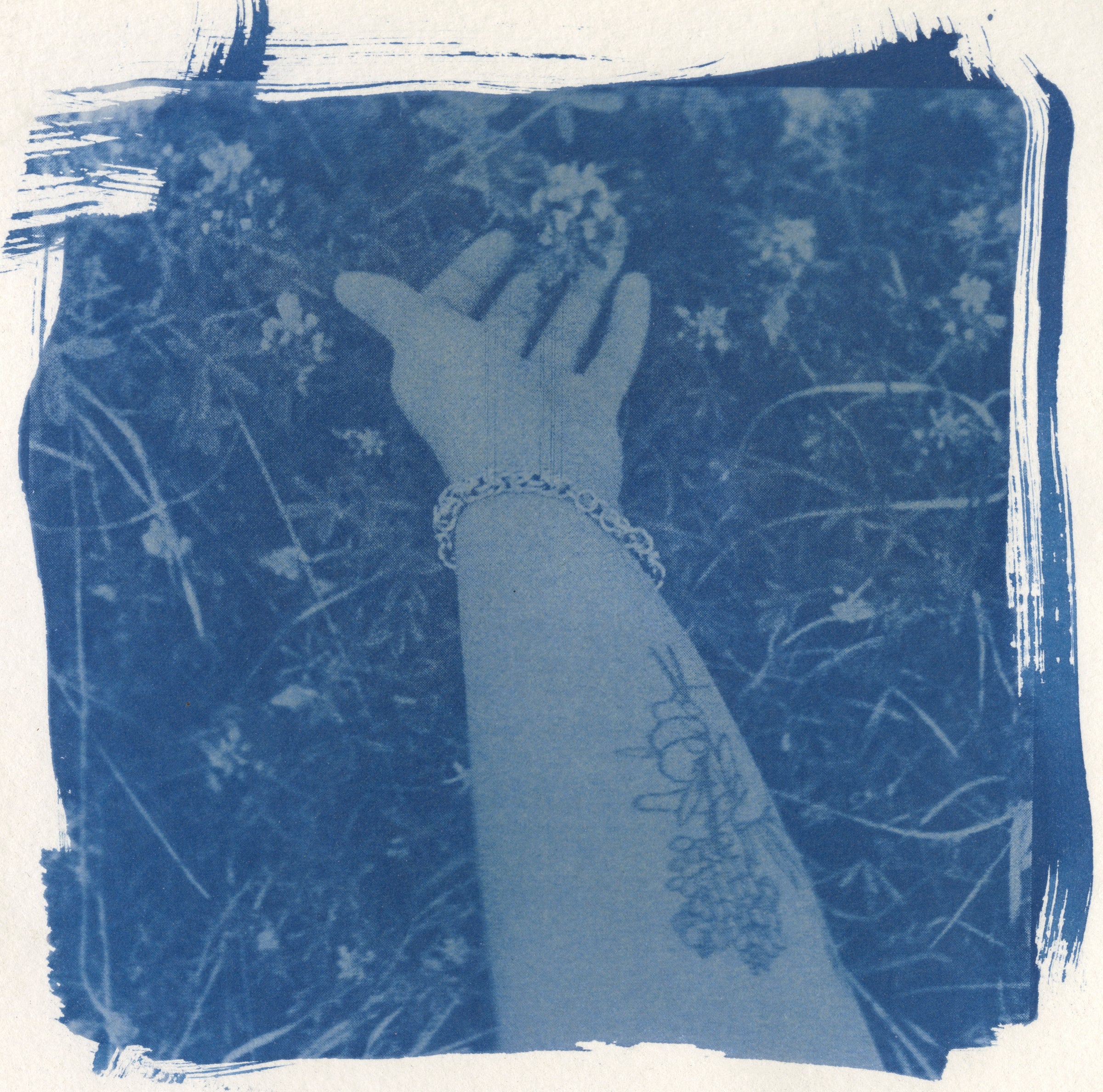 Advanced Cyanotypes - Mix, Coat, and Print with Digital Negatives ...